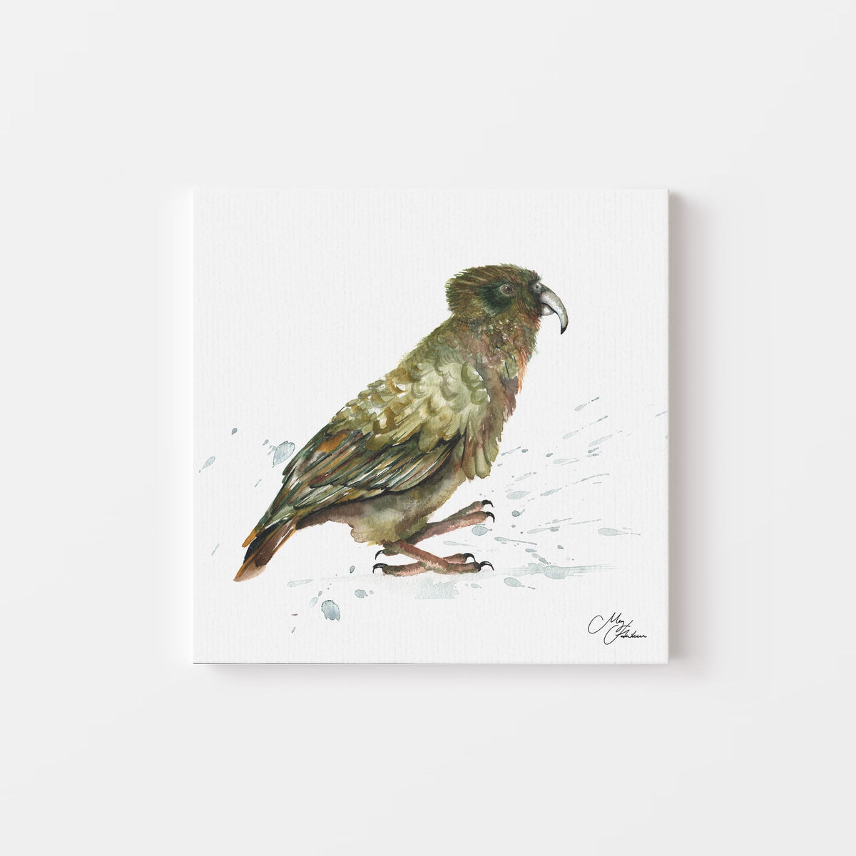 Kea Watercolour Canvas — Artisanau (AU)